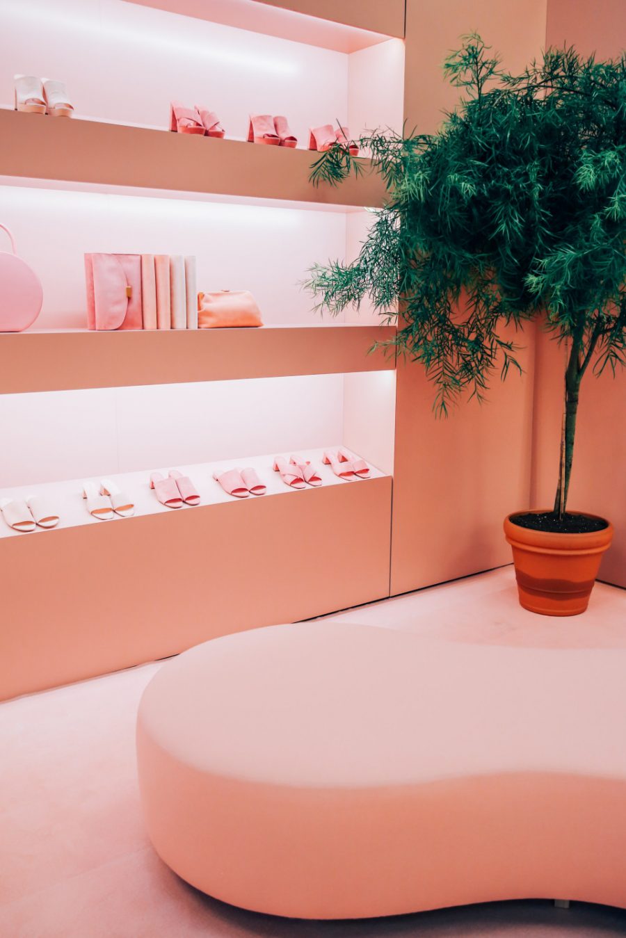 Coral
